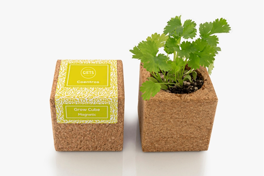 Custom cork grow kit - Hotel Gift Selection Custom cork grow kit