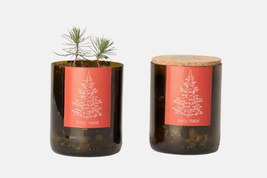 Custom Christmas tree planting kit - Hotel Gift Selection